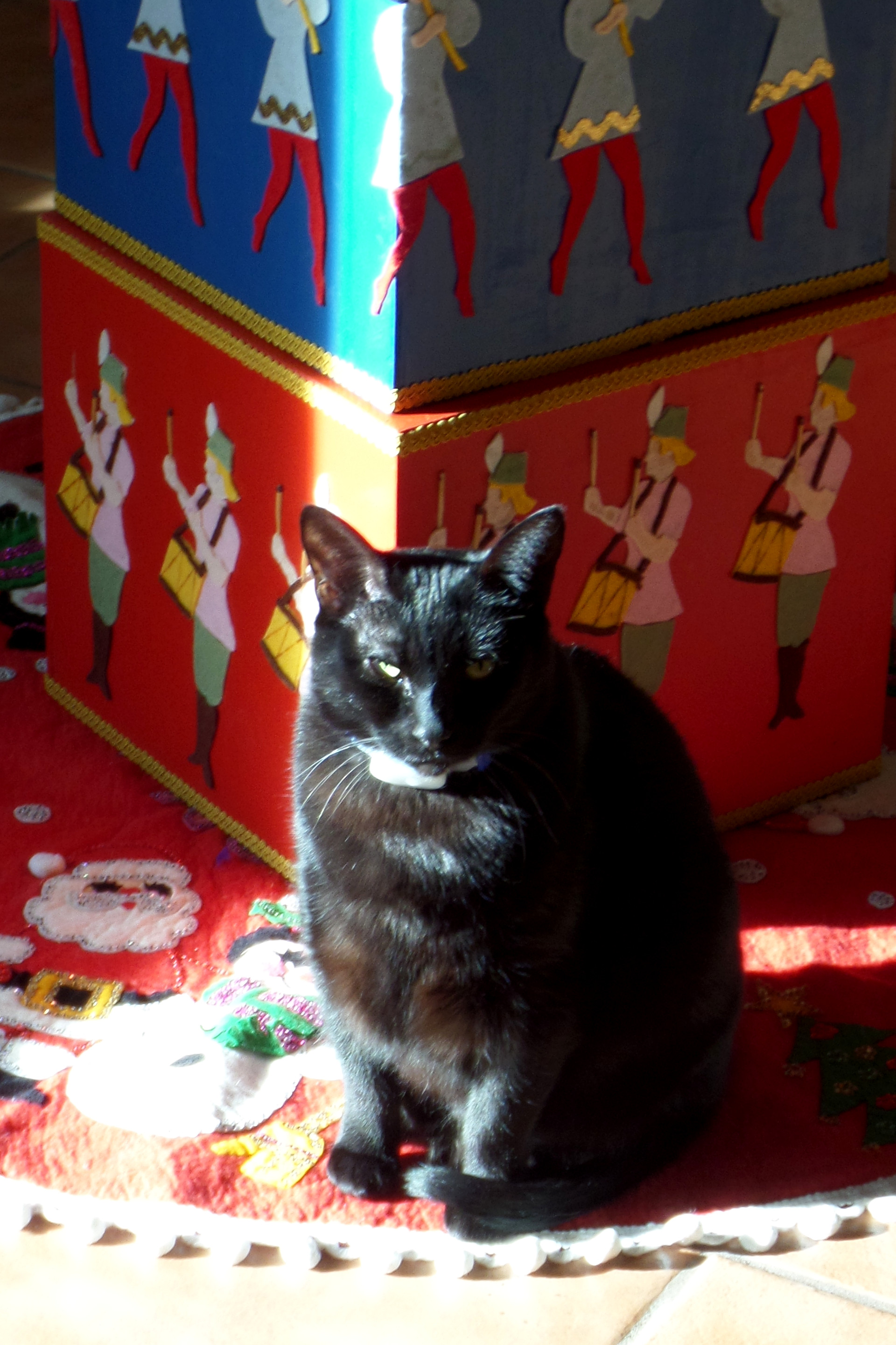 Can Cats Croon Christmas Carols? – Cat a(s) Tonic